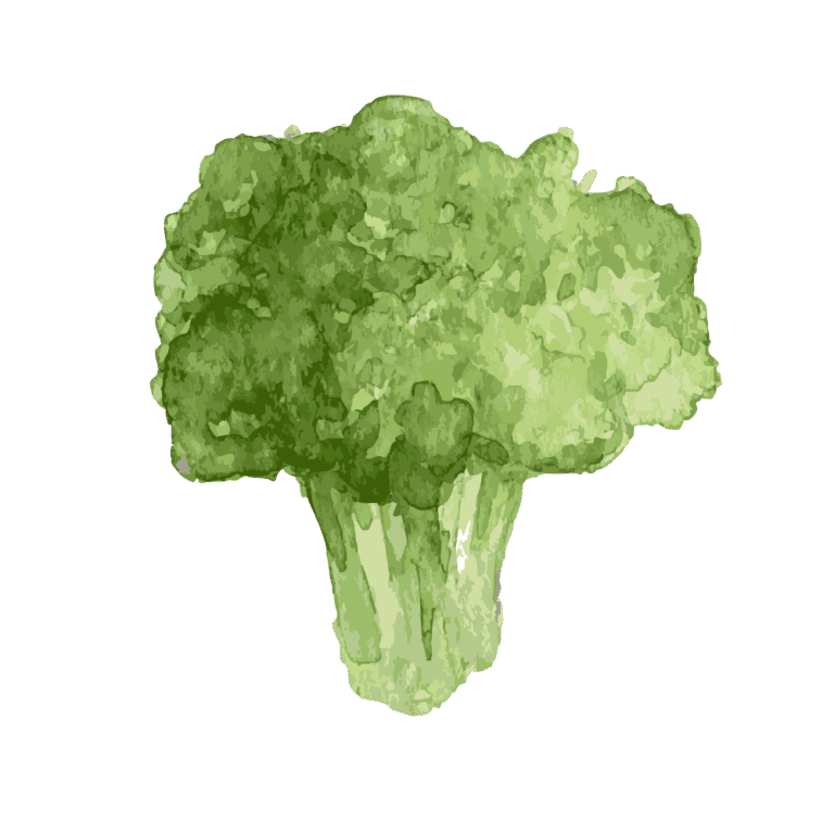 Home - Functional Nutrition for Autoimmunity, Hormones & Gut Health ...